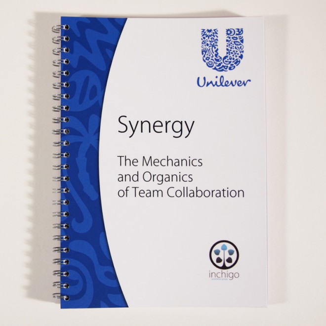 studio-irresistible – le book | Unilever / Book Design & Illustration ...